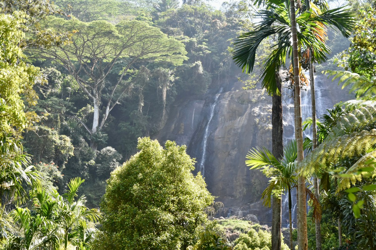 Sri Lanka 2024: Sembuwatte Lake & Hunnas Falls | Bandi's Blog